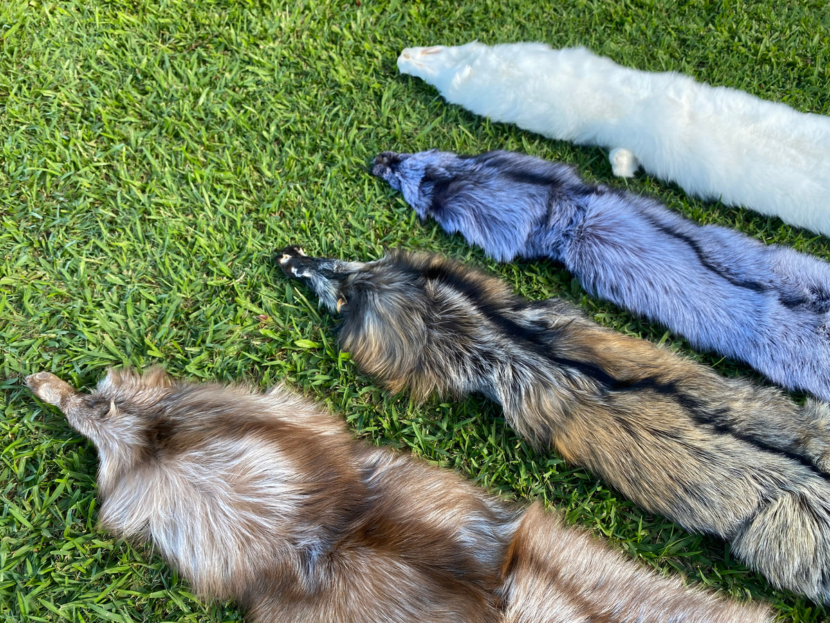 Specialty Skin - Fox Skins – The Skin Thing