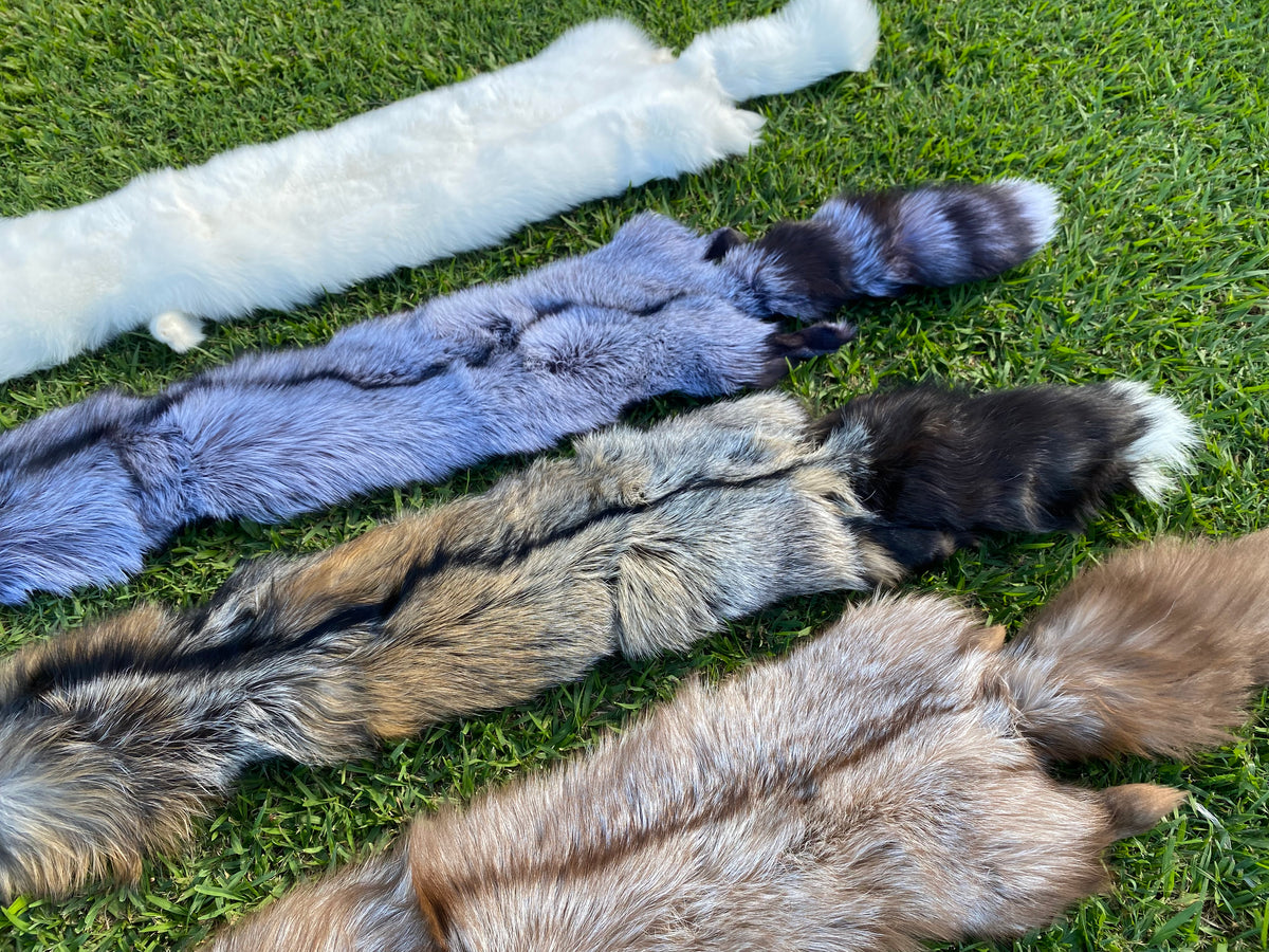 Specialty Skin - Fox Skins – The Skin Thing