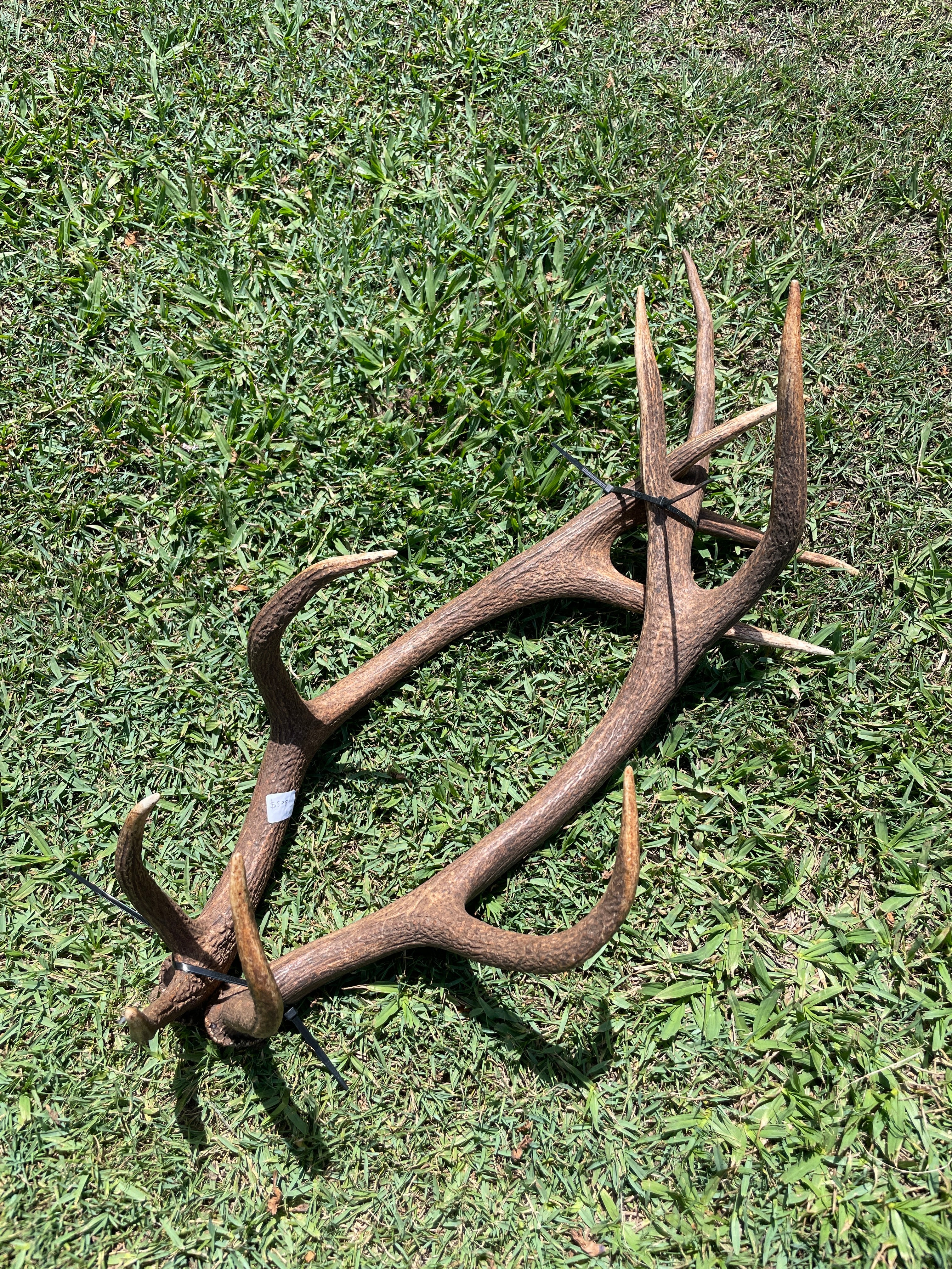 Antlers – The Skin Thing