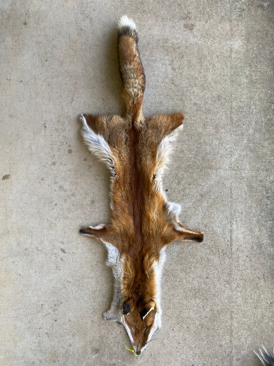 Specialty Skin - Fox Skins – The Skin Thing